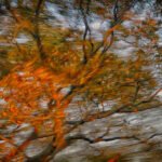 ///FOTOGRAFIE_II - Christian Ruhm