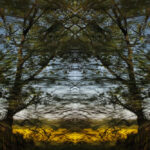 ///DIGITALKUNST - Christian Ruhm